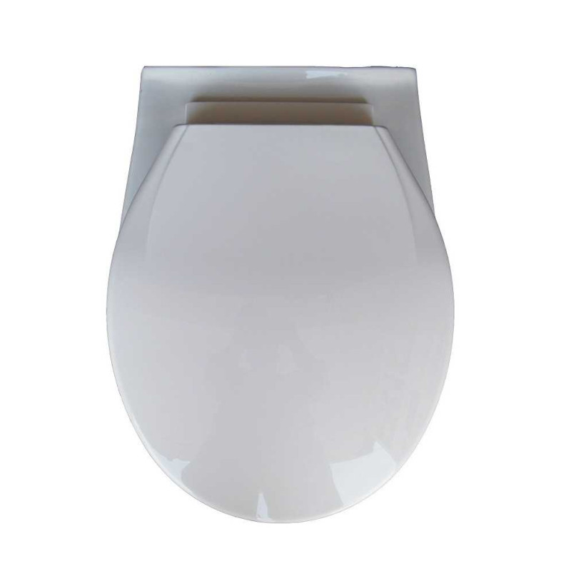 Buy Belmonte Wall Hung Water Closet Mini With Flush Valve & Soft Cl...